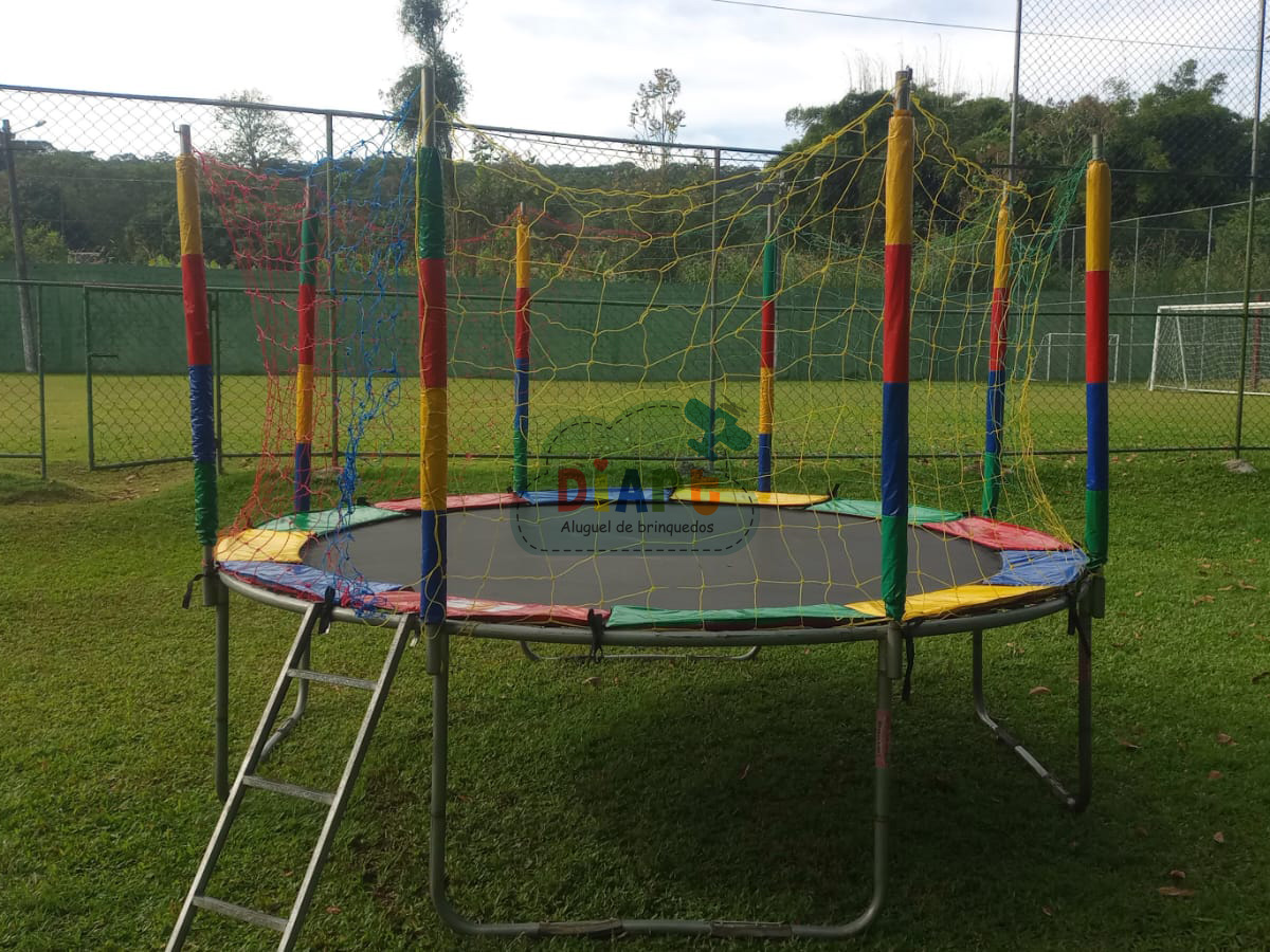 Pula Pula - Diart Aluguel de Brinquedos